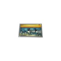 China 800*480 7.0 inch AM-800480R3TMQW-A1H-A 3S10P WLED TFT-LCD Screen Module for sale