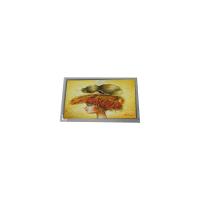 China Original 800*480 AM-800480R3TMQW-A1H-F 7.0 inch LVDS 400:1 TFT-LCD Screen for sale