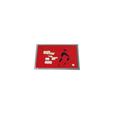 China Original AM-800480R3TMQW-B4H 800*480 7.0 inch 60Hz TFT-LCD Screen Panel for sale