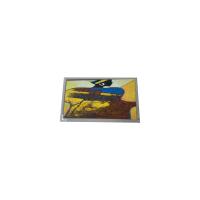 China NEW 800*480 AM-800480R3TMQW-T31H 7.0 inch 500 cd/m2 TFT-LCD Screen Monitor for sale