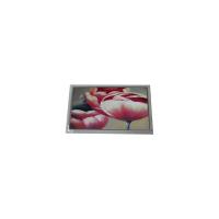 China Parts 7.0 inch 800*480 AM-800480R3TWQW-TG2 TFT-LCD Screen for Industrial for sale
