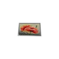 China Hot Sell 800*480 7.0 inch AM-800480R3TZQW-A1H-B 262K 20 pins TFT-LCD Screen for sale