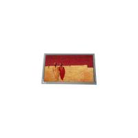 China 7.0 inch 800*480 AM-800480R4TMQW-TB1H 3S10P WLED TFT-LCD Screen Panel for sale