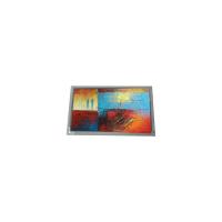 China Hot Sell 7.0 inch AM-800480RBTMQW-TA3H-G LCD Screen Panel Display for sale