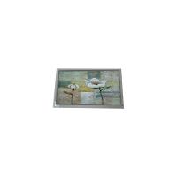 China 7.0 inch AM-800480RBTMQW-TB1H 60Hz LCD Screen LCD Panel Display for sale