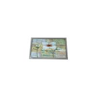 China AM-800480RBTMQW-TB2H 7.0 inch LCD Screen LCD Panel FOR Industrial for sale