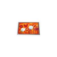 China AM-800480RBTMQW-TJ1H 7.0 inch LCD PCAP Screen LCD Panel Display for sale