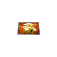 China Hot Sell AM-800480RCMZQW-A0H 7.0 inch 1000 cd/m2 LVDS LCD Screen for sale