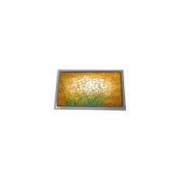 China NEW 7.0 inch AM-800480RCMZQW-A1H 20 pins LCD Screen LCD Panel Industrial for sale
