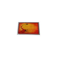 China 7.0 inch AM-800480RCTMQW-A0H LCD Screen LCD for Outdoor High Brightness for sale