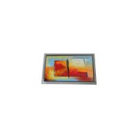China NEW AM-800480RCTZQW-06H 7.0 inch LCD Screen FOR Automotive Display for sale