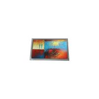China 7.0 inch AM-800480RCTZQW-A0H 20 pins 5S3P WLED LCD Screen Panel for sale