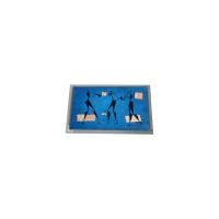 China AM-800480RCTZQW-A1H 7.0 inch 700 cd/m2 LCD Screen Panel Display for sale