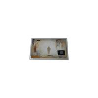 China AM-800480RDTMQW-T00H 7.0 inch 850 cd/m2 LCD Screen Panel Monitor for sale