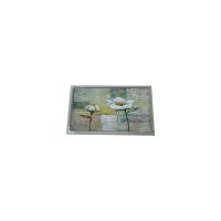 China 7.0 inch AM-800480RDTMQW-T01H 40 pins PCAP LCD Screen Panel Display for sale