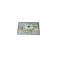 China AM-800480RDTMQW-T01H-L 7.0 inch 262K LCD Screen Panel Parts for sale