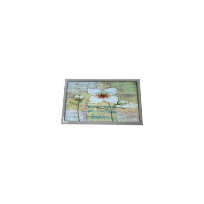 China AM-800480RDTMQW-T01H-L 7.0 inch 262K LCD Screen Panel Parts for sale