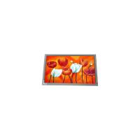 China Hot Sell 7.0 inch AM-800480RDTZQW-TA2H LCD PCAP Display Panel Screen for sale
