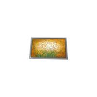 China Original AM-800480RFTMQW-T04H 7.0 inch 400 cd/m2 WLED LCD Panel Screen for sale