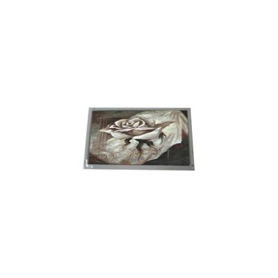 China New AM-800480RJTMQW-A0H 7.0 inch WLED LCD Screen LCD Panel Display for sale