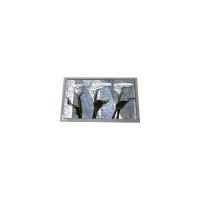 China Hot Hell 7.0 inch AM-800480RJTMQW-B0H LCD Screen LCD Panel for Automotive for sale