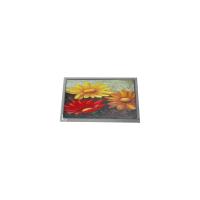 China Original 7.0 inch AM-800480RSTMQW-TB4H 60Hz LCD PCAP Screen LCD Panel for sale