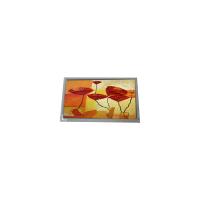 China 7.0 inch AM-800480RTTMQW-T01H LCD Screen FOR Outdoor High Brightness for sale