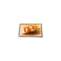 China Hot Sell 7.0 inch AM-800480S1TMQW-TA1 LVDS 262K LCD Screen Display for sale