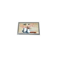 China AM-800480S2TMQW-T00 7.0 inch 800*480 LCD PCAP Screen for AMPIRE for sale