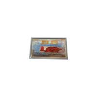China Hot Sell 800*480 AM-800480S5LMQW-00 7.0 inch 1000 : 1 LCD Panel for sale