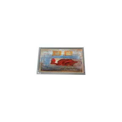 China Hot Sell 800*480 AM-800480S5LMQW-00 7.0 inch 1000 : 1 LCD Panel for sale
