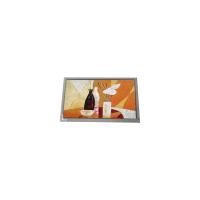 China 7.0 inch AM-800480SBTMQW-TB0  LCD Panel PCAP Screen FOR Industrial for sale