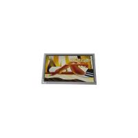 China Hot Sell 800*480 AM-800480STMQW-A3H 7.0 inch 60Hz LCD Screen LCD Display for sale