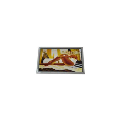 China Hot Sell 800*480 AM-800480STMQW-A3H 7.0 inch 60Hz LCD Screen LCD Display for sale