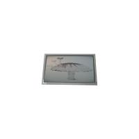 China Original 7.0 inch AM-800480STMQW-TA0 800*480 LVDS 60Hz LCD screen for sale