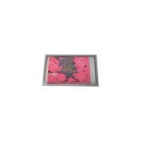 China Hot Sell 7.0 inch AM-800480STMQW-TB0 300 cd/m2 262K LCD screen Panel Display for sale
