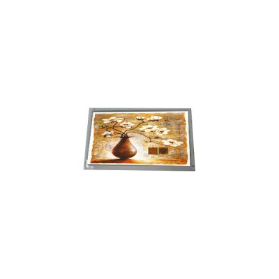 China 800*480 AM-800480STMQW-TW0 7.0 inch  LCD screen Industrial Panel for sale