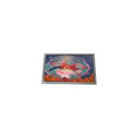 China 800*480 AM-800480STMQW-W0 7.0 inch 60Hz 350 cd/m2 TFT-LCD screen for sale