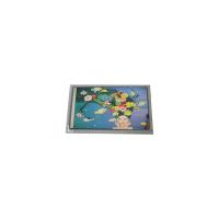 China NEW 800*600 8.0 inch AM-800600C2TMQW-00H TFT-LCD Industrial screen for sale