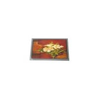 China AM-800600C3TMQW-U0H 800*600 8.0 inch WLED TFT-LCD screen Panel for sale