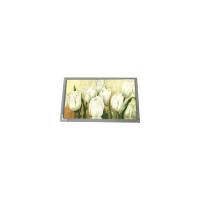 China AM-800600GTMQW-02H 800*600 8.0 inch 20 pins LVDS TFT-LCD screen Panel for sale