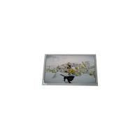China 7.0 inch AM-800600J1TMQW-TU0H 800*600 400 cd/m2 TFT-LCD screen Display for sale