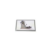 China 10.4 inch AM-800600K2TZQW-00H TFT-LCD screen for Automotive Display for sale