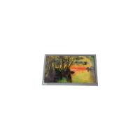 China AM-800600K3TMQW-01H-F 10.4 inch TFT-LCD screen for Outdoor High Brightness for sale