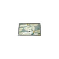 China Hot Sell 800*600 AM-800600K3TZQW-56H 10.4 inch TFT-LCD screen Panel for sale