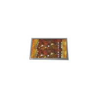China AM-800600LTNQW-T00H 800*600 10.4 inch Touch TFT-LCD screen Patrs for sale