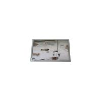 China 800*600 AM-800600LTNQW-TD0H 10.4 inch WLED 300 cd/m2 TFT-LCD screen for sale
