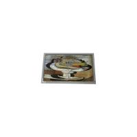 China Hot Sell 800*600 AM-800600LTNQW-TU1H 10.4 inch 400 cd/m2 TFT-LCD screen for sale