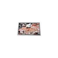 China new 800*600 AM-800600M1TMQW-00H 8.4 inch LVDS 20 pins TFT-LCD screen for sale