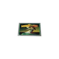 China 8.4 inch AM-800600M3TNQW-00H LVDS TFT-LCD screen Display Parts for sale